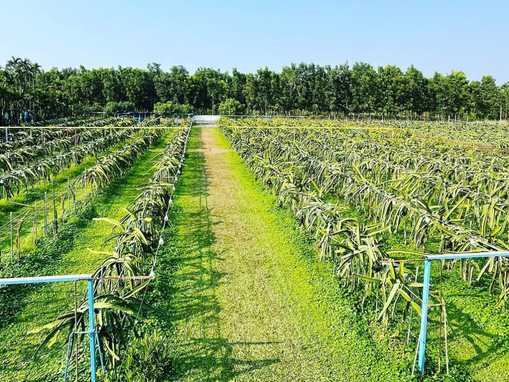 10000 Likes to Yardian Pro Smart Irrigation System - Aeon Matrix